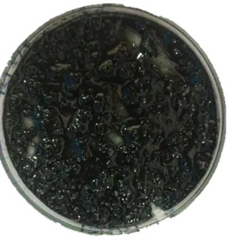 REVY Environmental Solutions Pvt. Ltd.